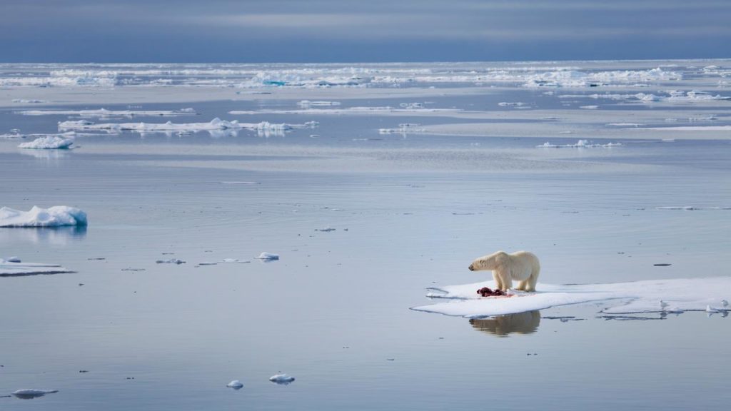 The first climate peak for the polar regions due to the melting of ...